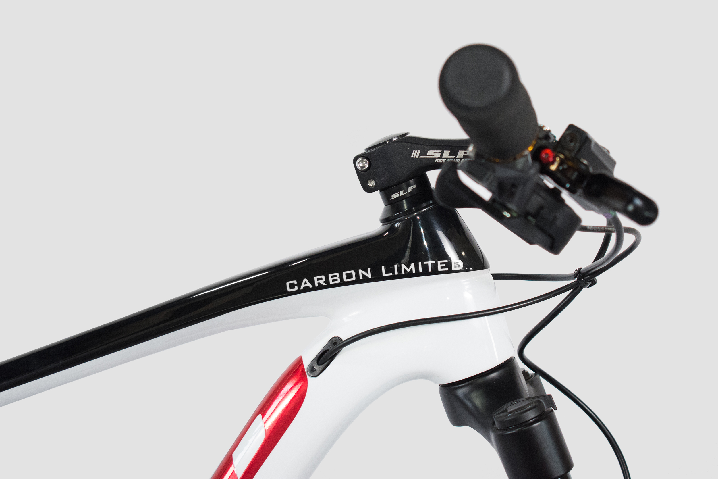 SLP MTB CARBON LIMITED R29