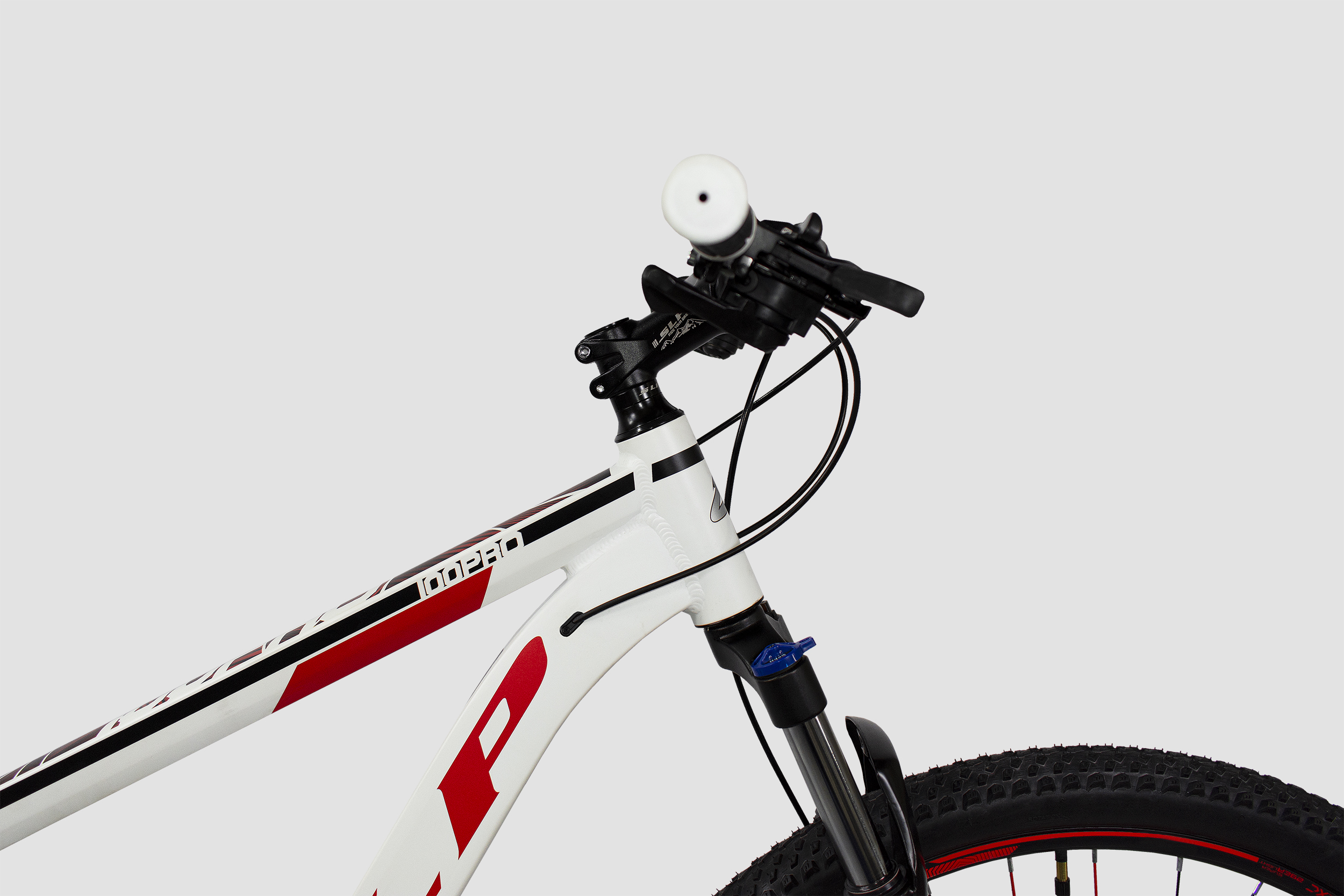 SLP 100 PRO R29 2024